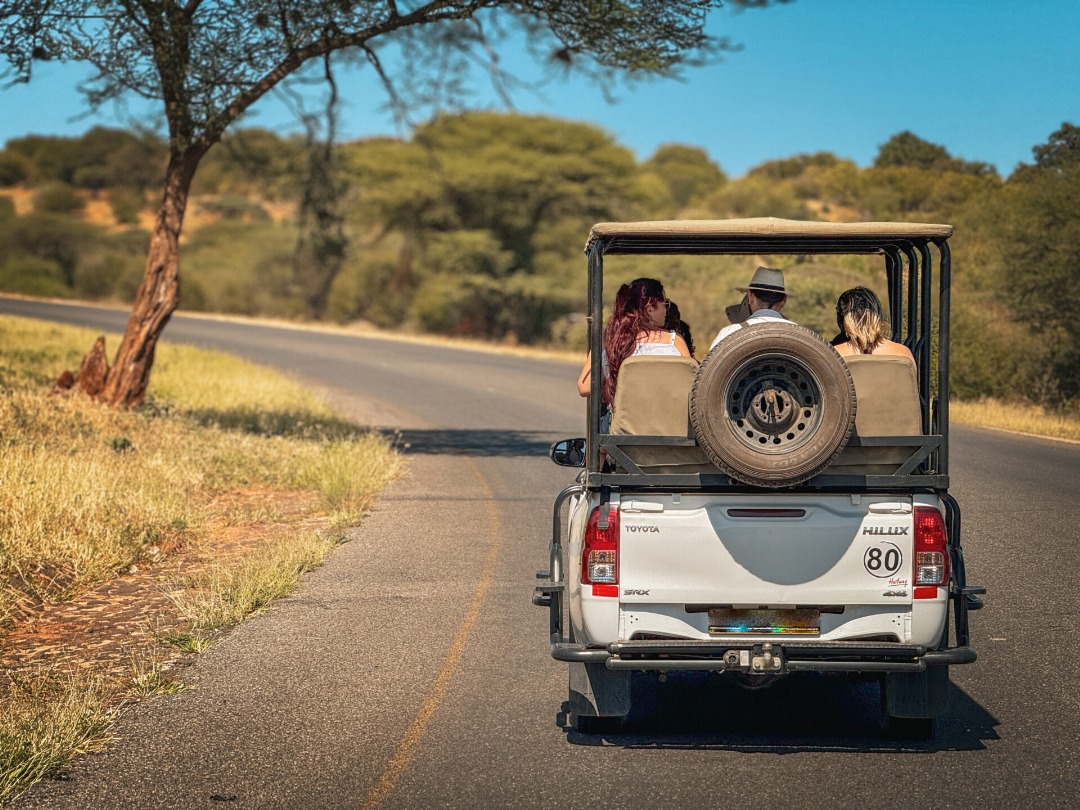 Shasha Africa | Victoria Falls Tour & Zimbabwe Safari