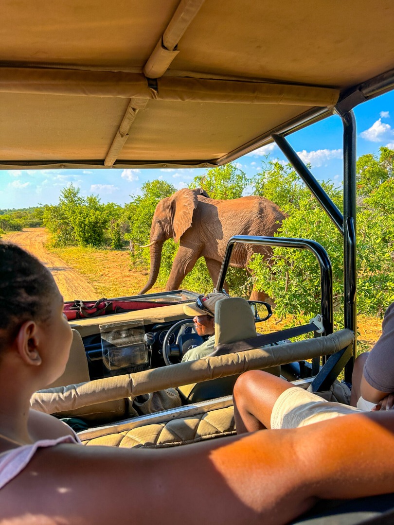 Shasha Africa | Victoria Falls Tour & Zimbabwe Safari